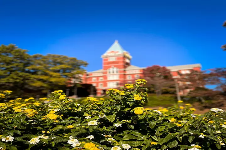 Georgia Institute of Technology, Atlanta: Admission, Courses, Fees ...